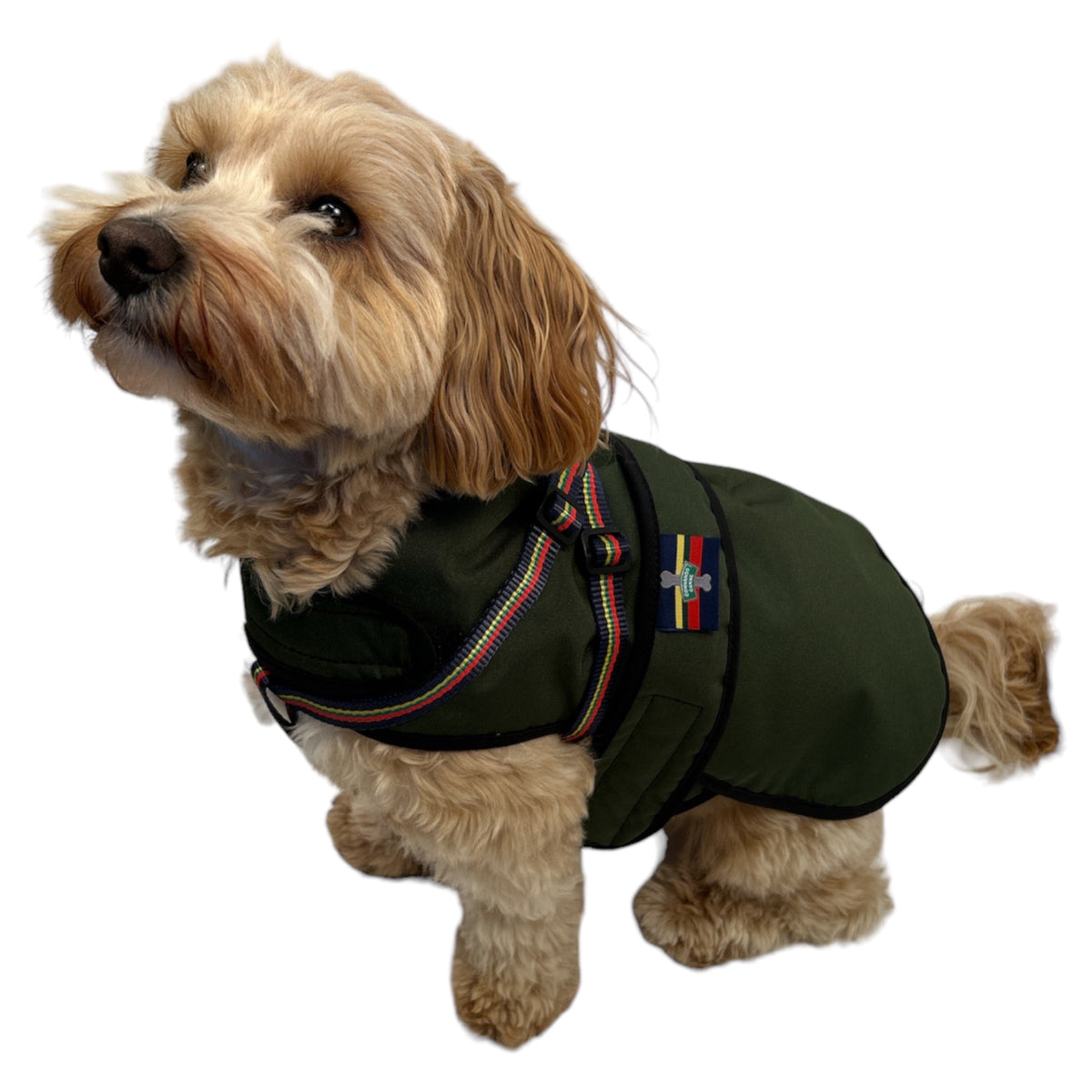 Commando Canine Dog Jacket – Royal Marines Shop