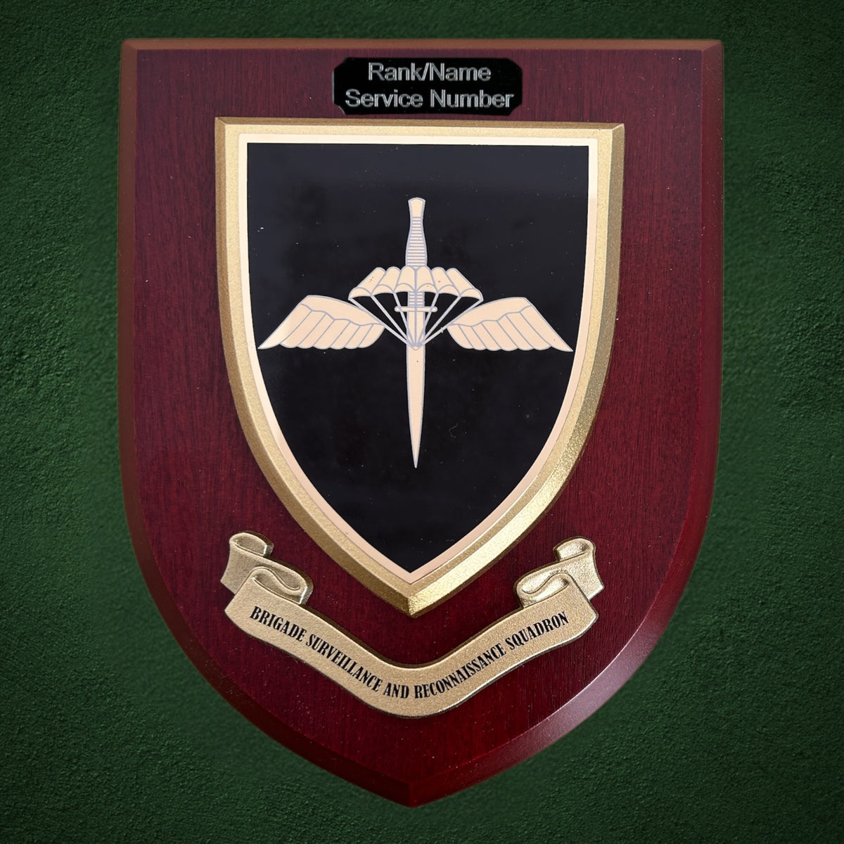 Brigade Surveillance and Reconnaissance Squadron Plaque – Royal Marines ...